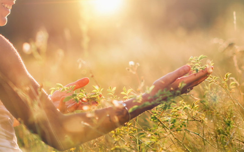Menopause Explained: The One-Day Transition to Strength & Stability ...